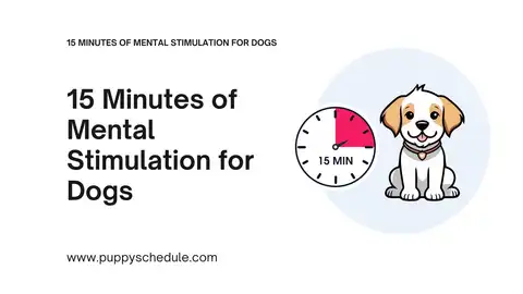 15 Minutes of Mental Stimulation for Dogs - puppy schedule